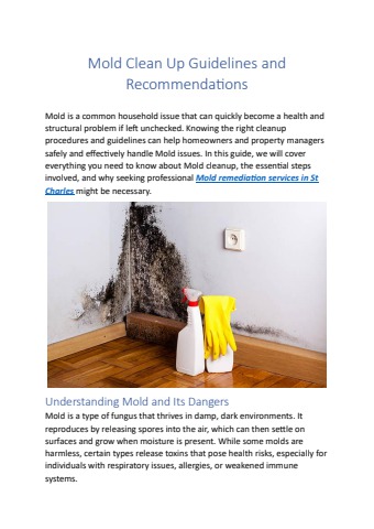 Mold Clean Up Guidelines and Recommendations - restorationofstcharles ...