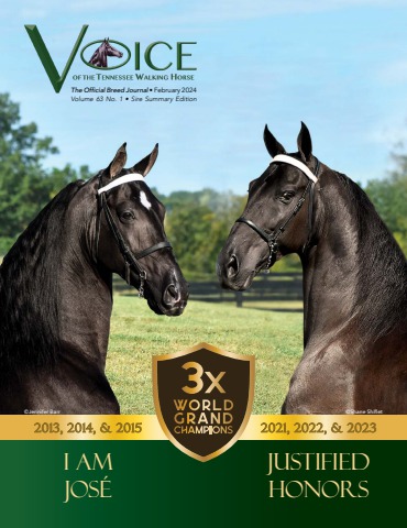 VOICE of the Tennessee Walking Horse - Voice of the Tennessee Walking ...