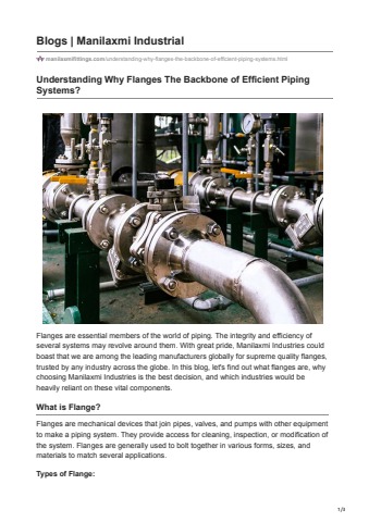 Understanding Why Flanges The Backbone of Efficient Piping Systems?