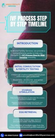 IVF Process Step by Step Timeline