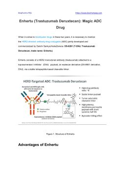 Enhertu (Trastuzumab Deruxtecan) Magic ADC Drug - sunnyfang1419 Flip PDF | AnyFlip