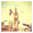 Yamatatsu Menu (Chinese) - Flip eBook Pages 1-25 | AnyFlip