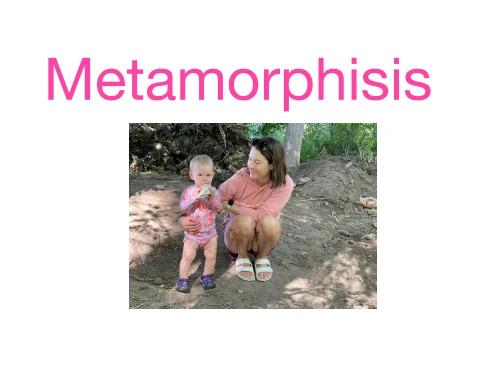 Metamorphisis_pdf
