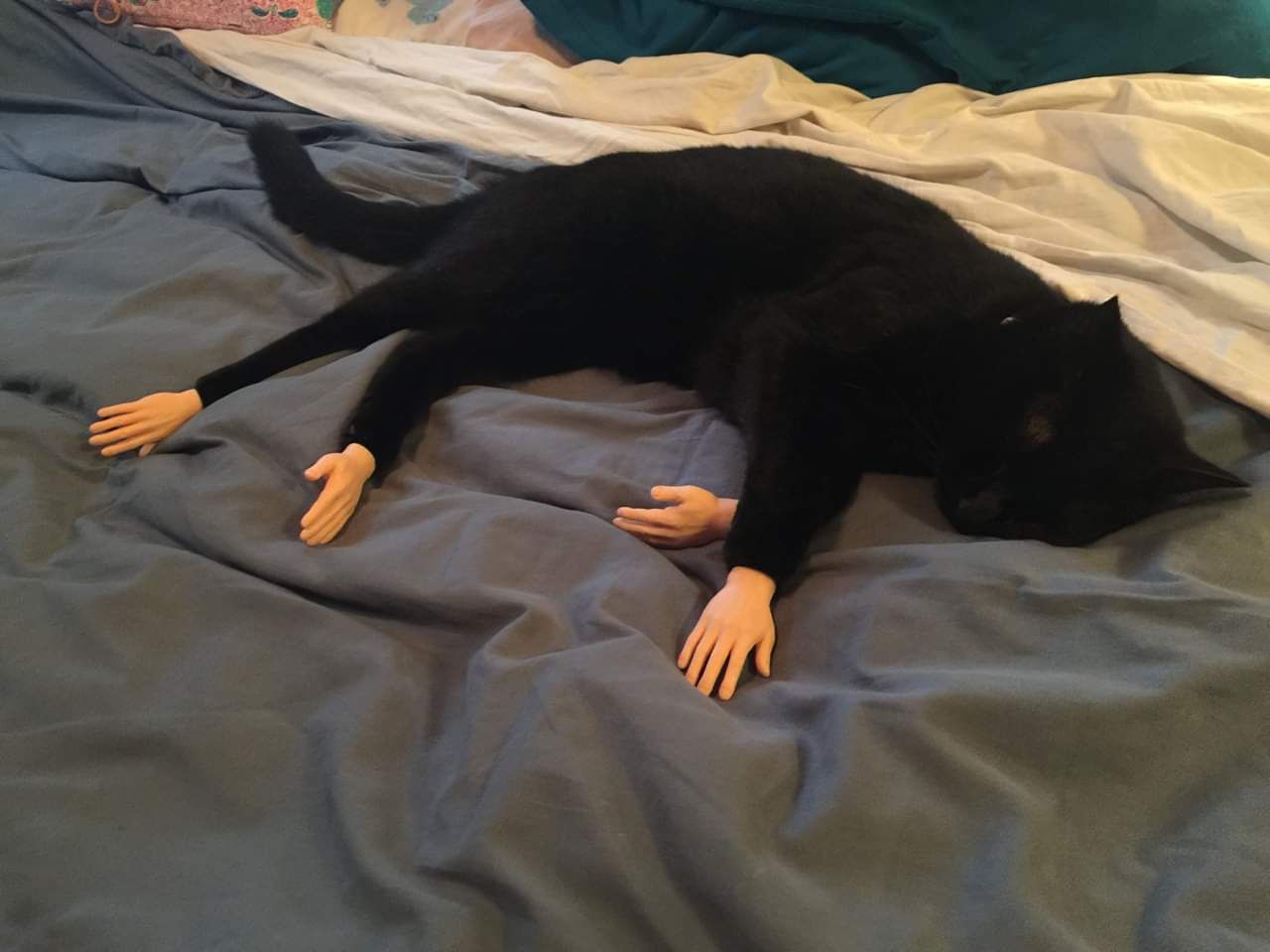 Buku Program Majlis Anugerah Kokurikulum & Homeroom MRSM Kuala Klawang ...