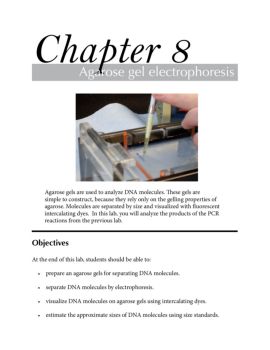 Chapter 8 - Guset User Flip PDF | AnyFlip