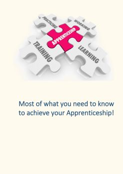 The Apprenticeship Guide - Leadership and Management Flip PDF | AnyFlip