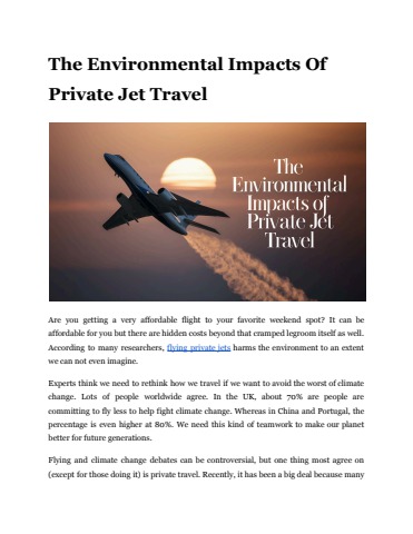 The environmental impacts of private jet travel - Rayan Shah Flip PDF ...
