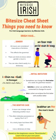 Things-you-need-to-know-Bitesize-Irish-Cheat-Sheet-2 ...