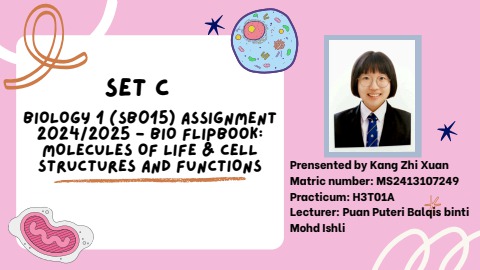 SET C -BIOLOGY 1 (SB015) ASSIGNMENT 2024/2025 - BIO FLIPBOOK: MOLECULES ...