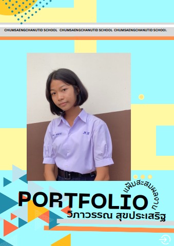 portfolio