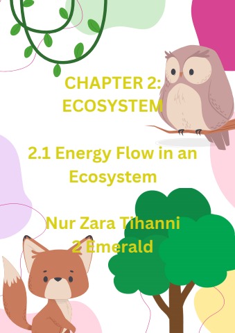 SCIENCE F2 CHAPTER 2