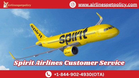 How do I contact Spirit Airlines customer service? - Airlines Pet ...