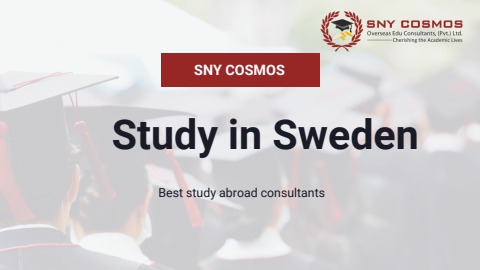Study Abroad in Sweden - SNY Cosmos - snycosmos987 Flip PDF | AnyFlip
