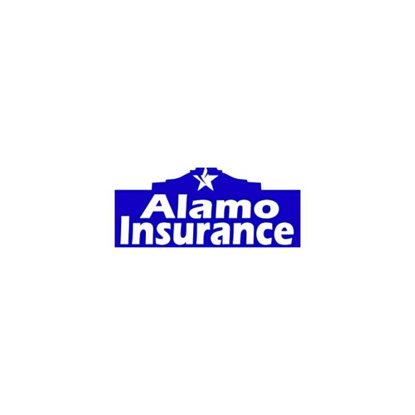 Alamo Auto Insurance Shares 5 Ways to Simplify Your Auto Insurance ...