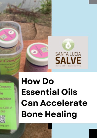 Buy Essential Oils for Bone Healing From Our Company - Santa Lucia ...