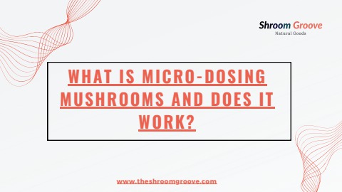What is Micro-dosing Magic Mushrooms and does it work?
