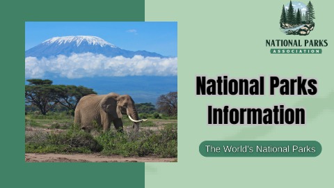 Protecting and Preserving World's Most Visited National Parks