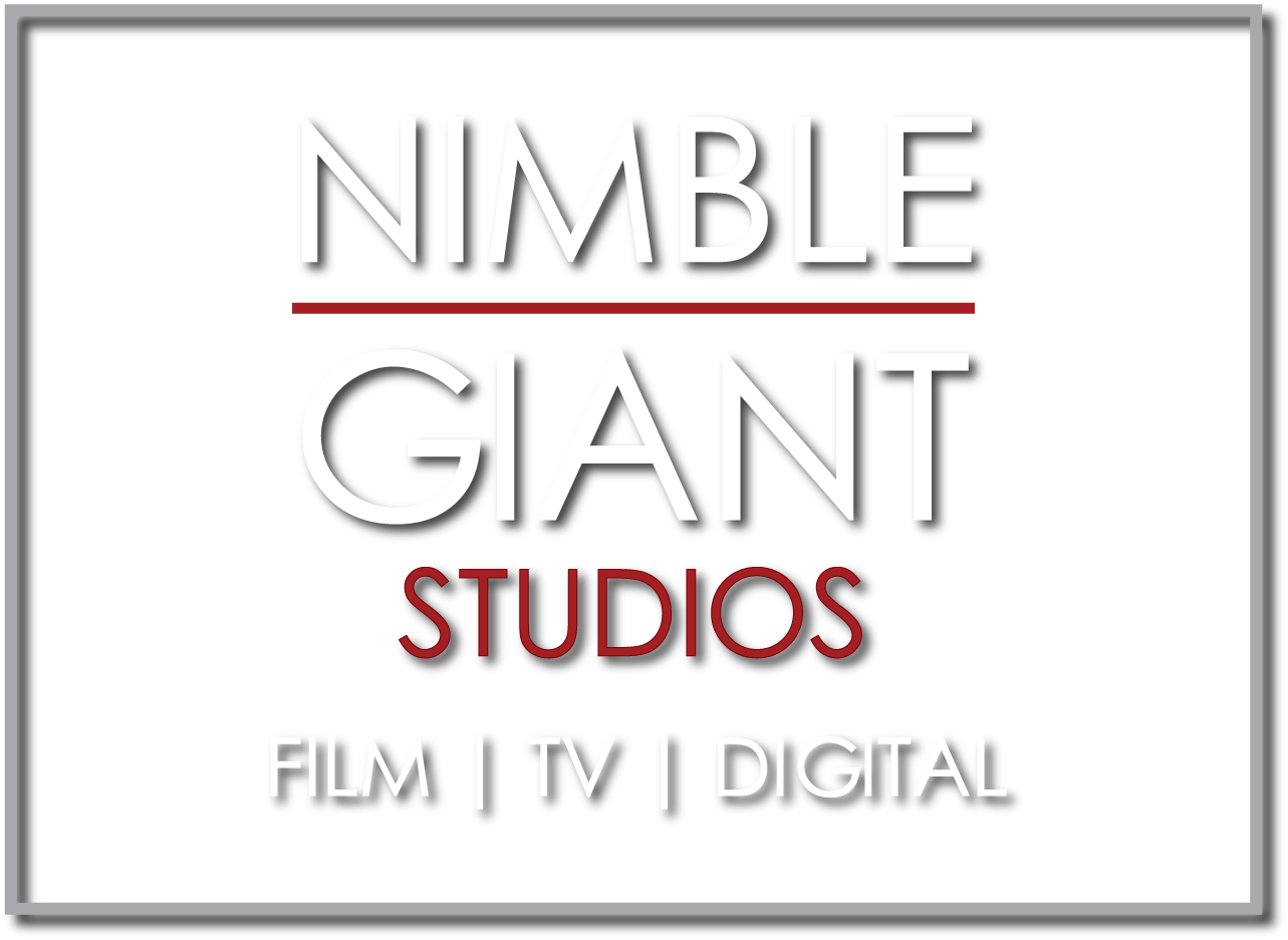 NIMBLE GIANT STUDIOS - Flip eBook Pages 1-16 | AnyFlip