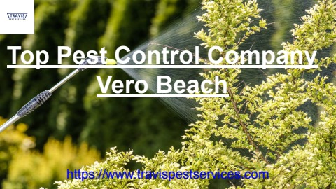 Top Pest Control Company Vero Beach
