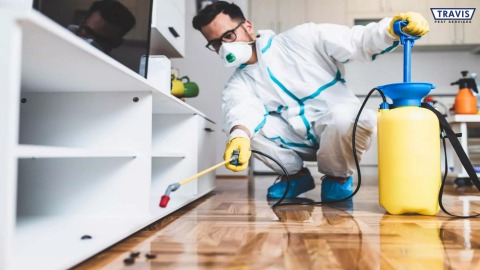 Residential Pest Control Stuart - Chris Billings Flip PDF | AnyFlip