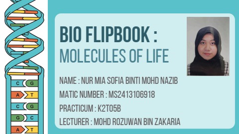 bio flipbook molecules of life (1)