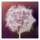 Elbert, C. (1998) Manual básico de Criminología. Buenos Aires ...