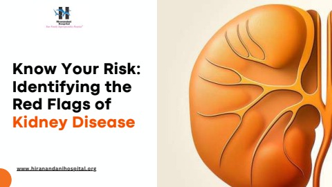 Know Your Risk Identifying the Red Flags of Kidney Disease ...