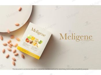 PPT-MELIGENE-CUSTOMER-CHI - Global Netplus System Training Flip PDF ...