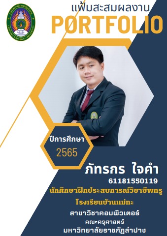 Portfolio 61181550119 - mos2892 Flip PDF | AnyFlip