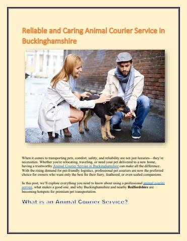 Reliable and Caring Animal Courier Service in Buckinghamshire