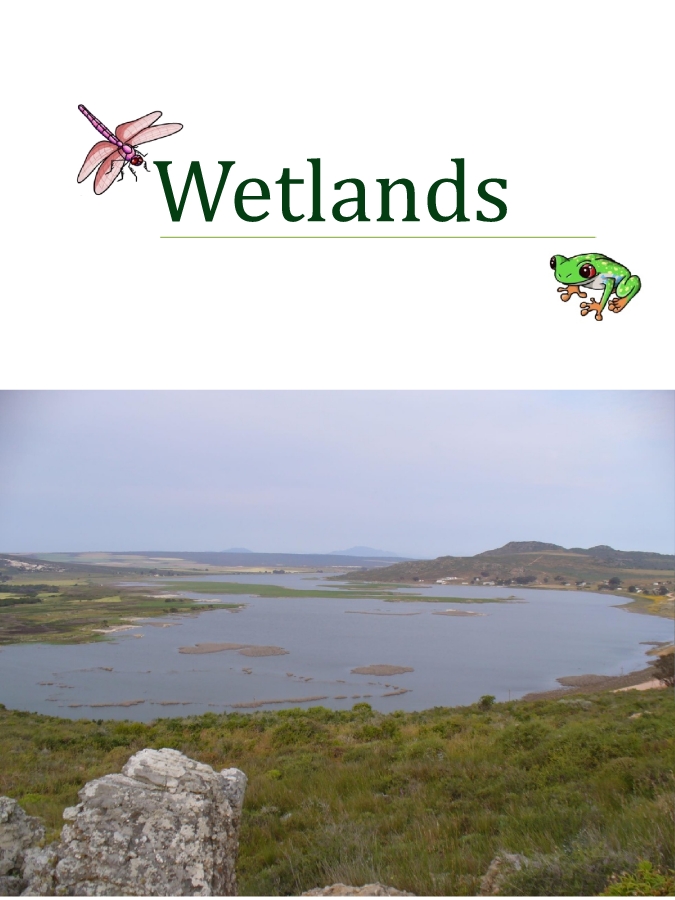 Wetlands - WAMTechnology Flip PDF | AnyFlip