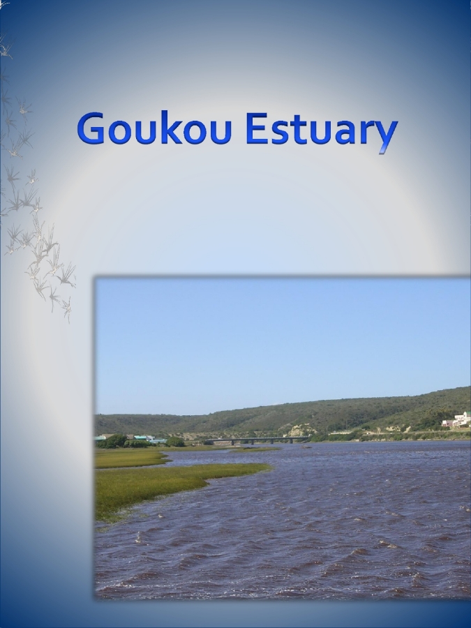 The Goukou Estuary - WAMTechnology Flip PDF | AnyFlip