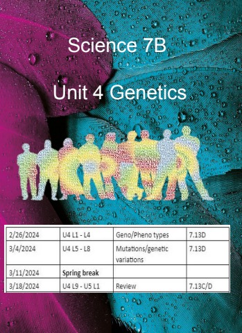 Science 7B Unit 4 Genetics - ialmaraz Flip PDF | AnyFlip