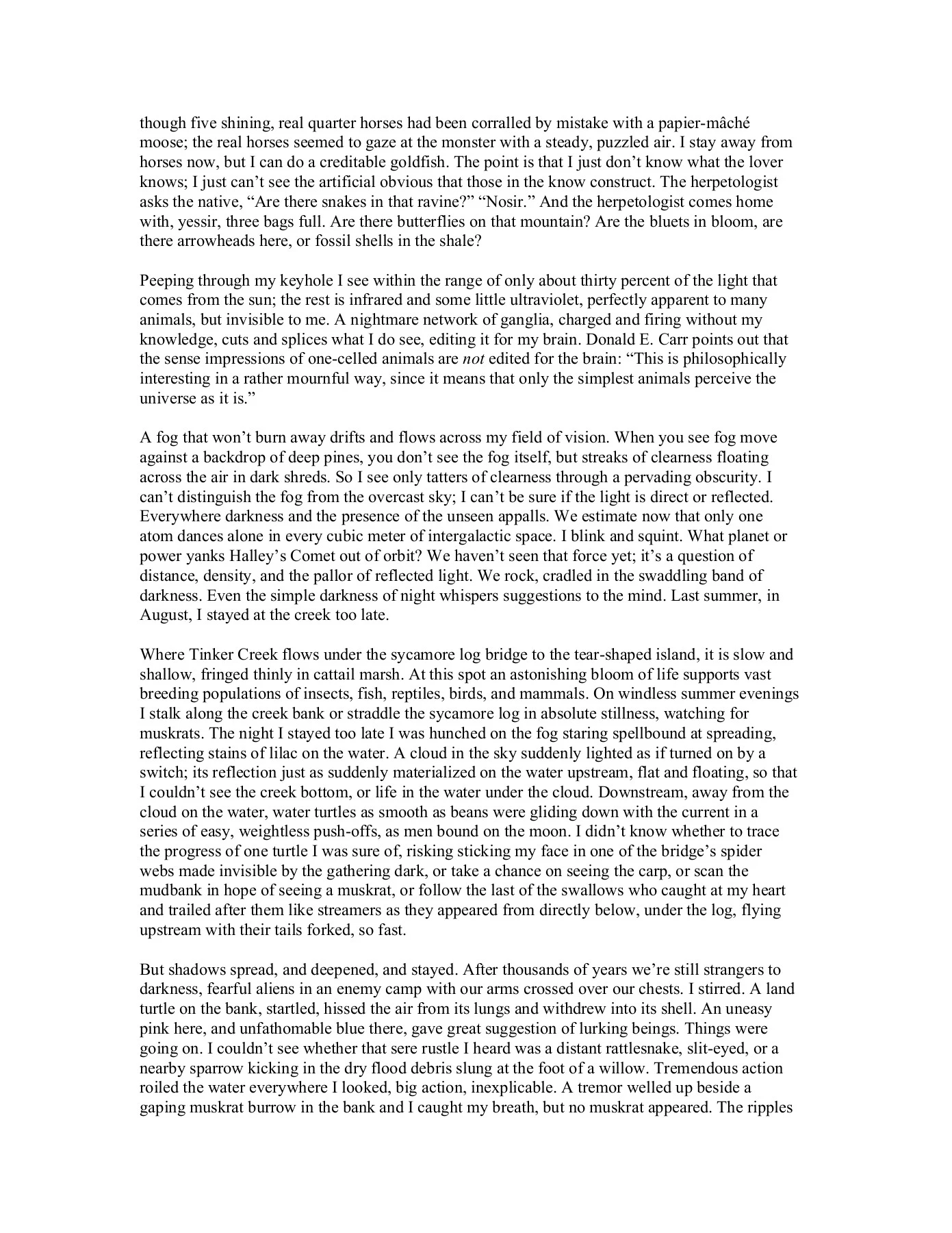 PDF of Annie Dillard's "Seeing" - SVA MA Design Research