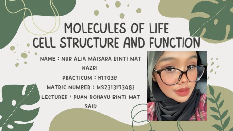 BIOLOGY 1 (SB015) ASSIGNMENT 2024/2025 - BIO FLIPBOOK: MOLECULES OF ...