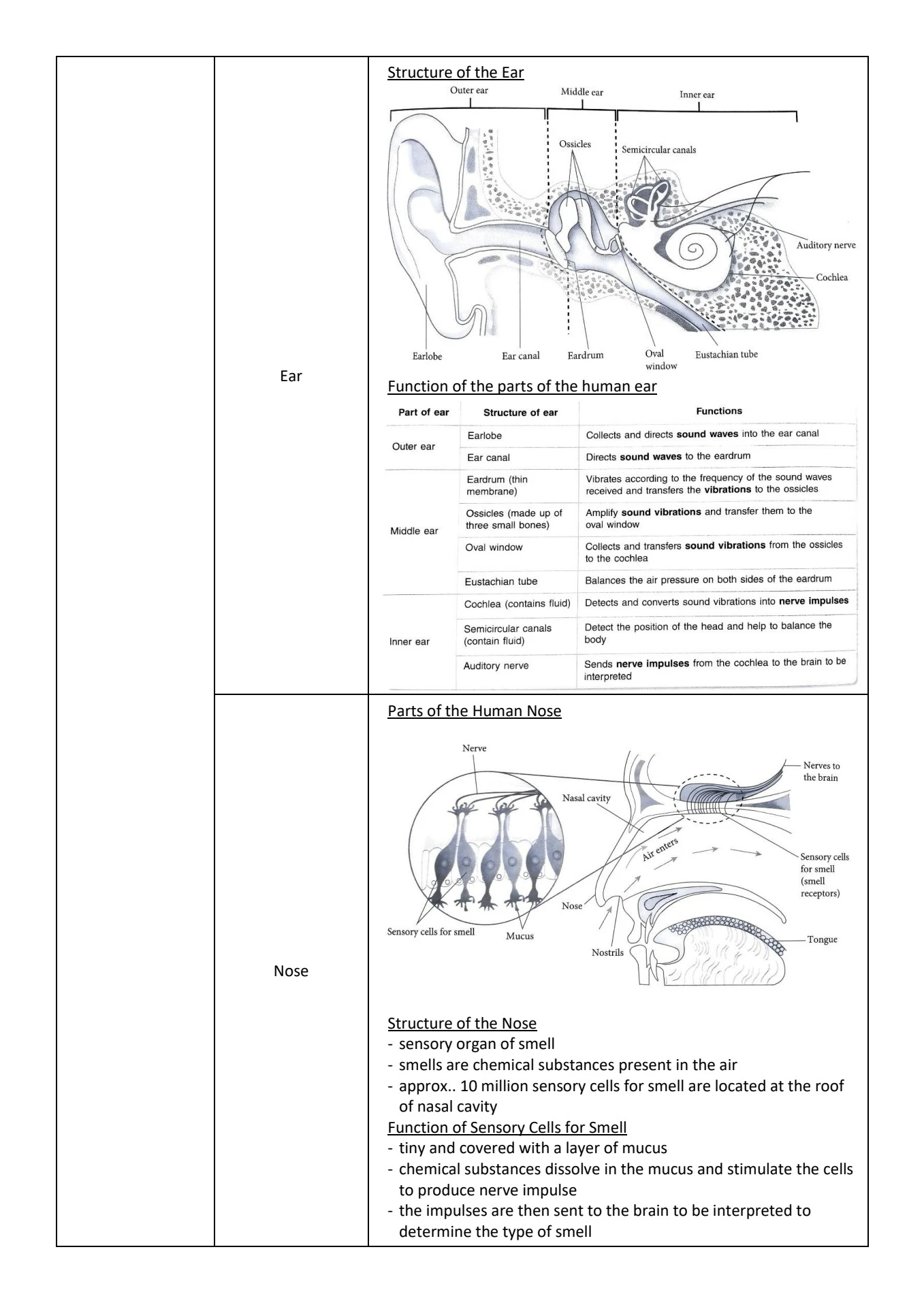 Science Form 3 (Notes)