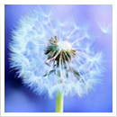 RBT T1: BAB 5 APLIKASI TEKNOLOGI - Membalik Buku Halaman 1-10 | AnyFlip