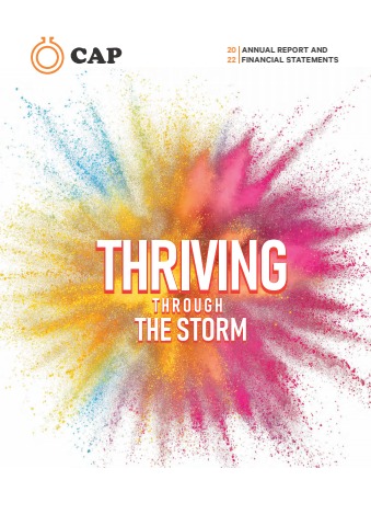 CAP PLC - 2022 Annual Report - Afriprud Flip PDF | AnyFlip