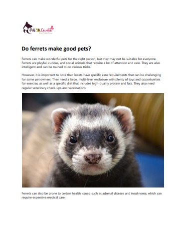 Do ferrets make good pets