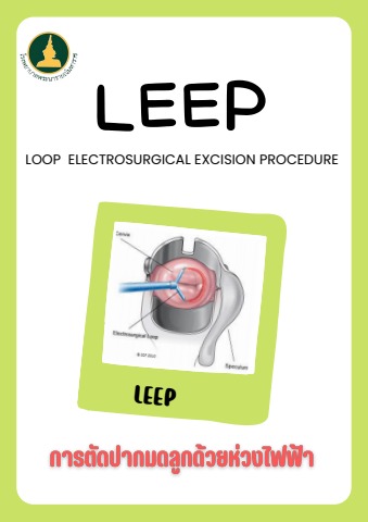 LEEP - chanpen thongthae Flip PDF | AnyFlip