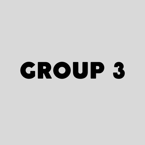 Assignment 2 (GROUP 3) - Flip eBook Pages 1-11 | AnyFlip
