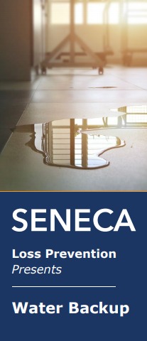 Water Backup - Seneca Insurance Flip PDF | AnyFlip