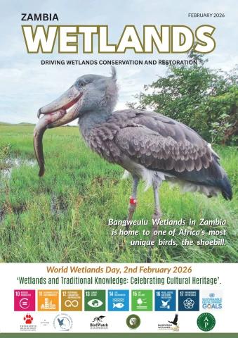 WETLANDS ZAMBIA MAGAZINE 2026 - Kulani Media Flip PDF | AnyFlip