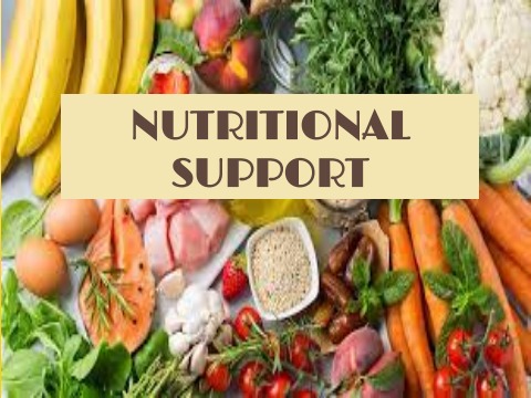 NUTRITIONAL SUPPORT