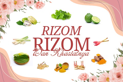 RIZOM-RIZOM DAN KHASIATNYA