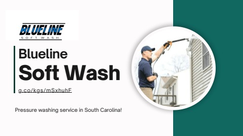 Pressure Washing Augusta - Blueline Soft Wash Flip PDF | AnyFlip