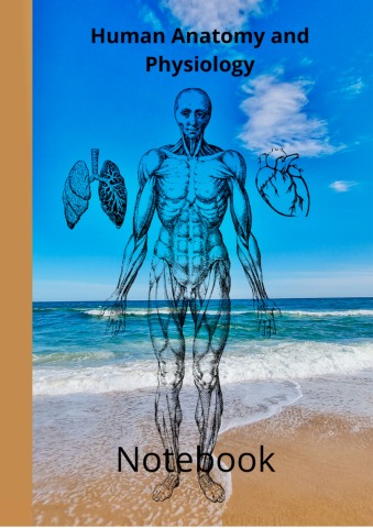Useful Human Anatomy Physiology, A4 Notebook, 103 pages, all chapters ...