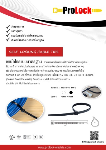 ProLock - แคตตาล็อกสินค้า - Neti Keawkhawkun Flip PDF | AnyFlip
