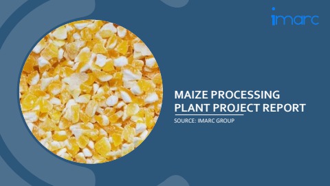 Detailed Project Report on Maize Processing Plant PDF - Gaurav Flip PDF ...