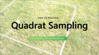 Quadrat Sampling - Noraine binti Salleh Hudin Flip PDF | AnyFlip